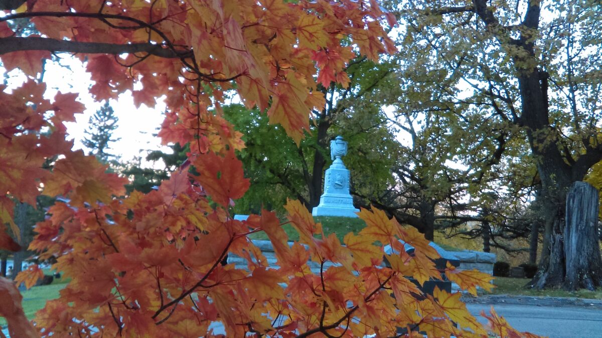 Let's Talk Trees Arboretum "Winter Tree" Tour • Woodland Cemetery ...